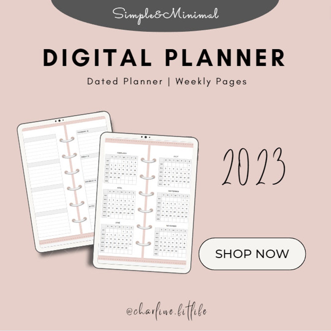 Premium Digital Planner 2023 Dated Ipad/pc Goodnotes Notability Samsung ...
