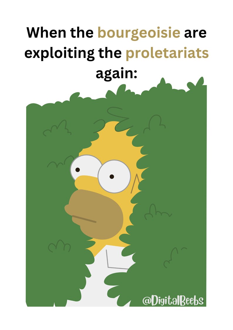 Sociology Meme Posters (x13) - Etsy