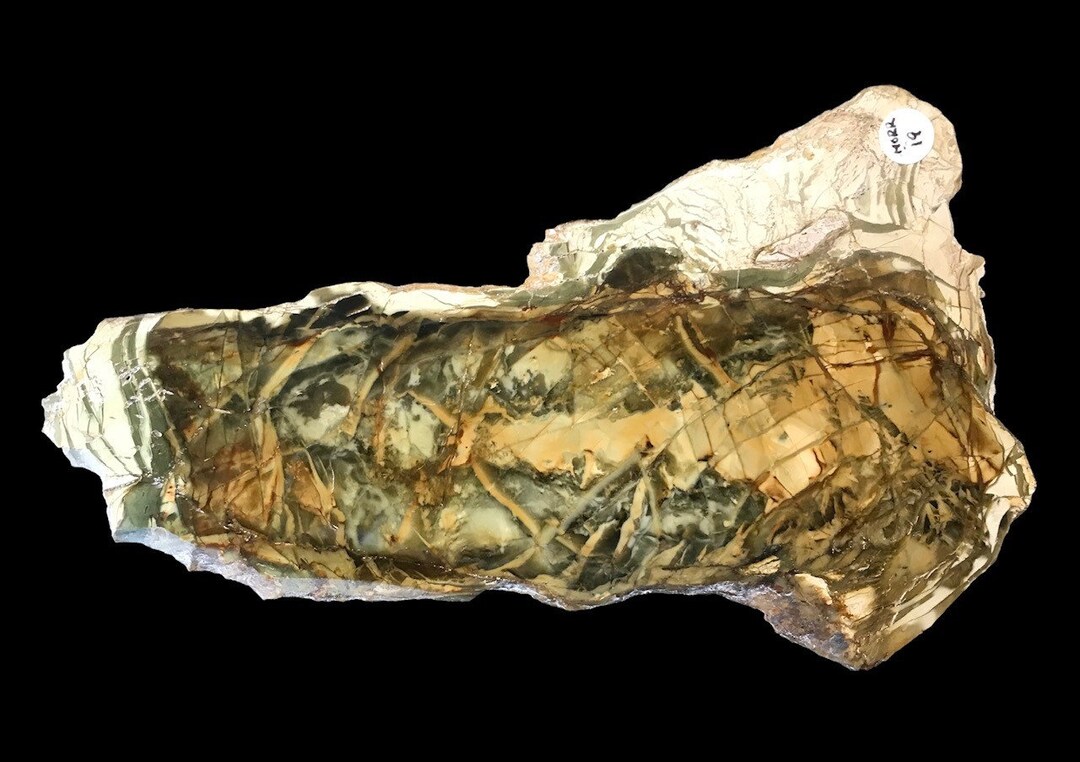 Jasper / USA / Morrisonite - Etsy
