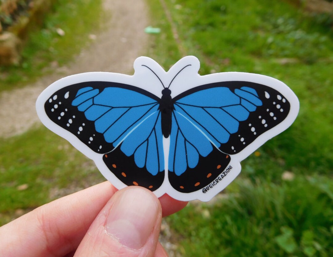 Morpho Menelaus Blue Butterfly Vinyl Sticker Entomology, Cute ...