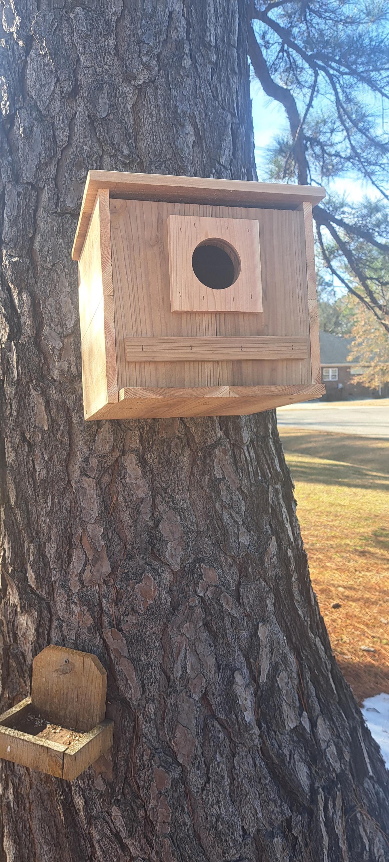 Jumbo Squirrel House Fox Squirrel House Squirrel Nesting Box Biggest ...