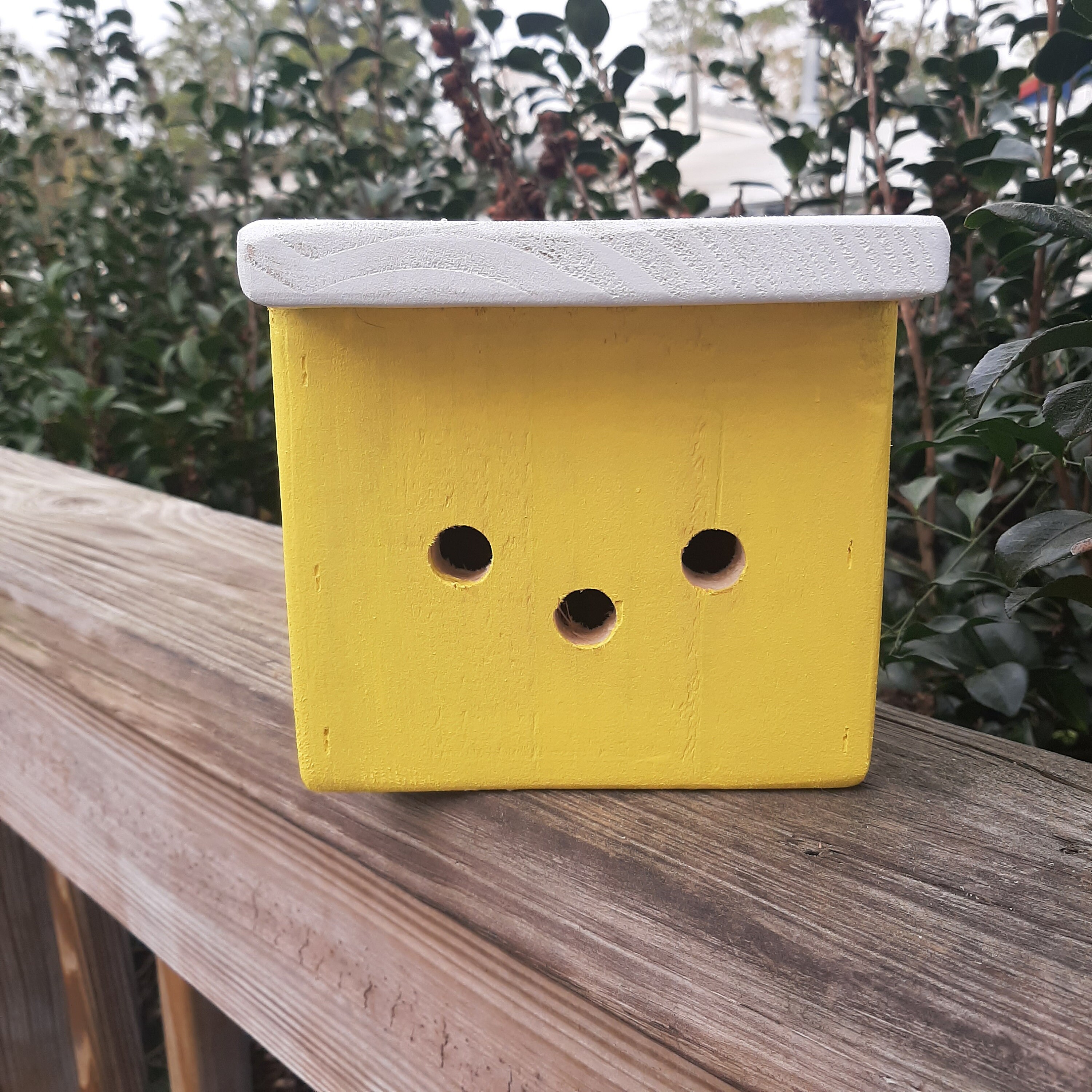 Yellow and White Ladybug House Ladybug House House for - Etsy