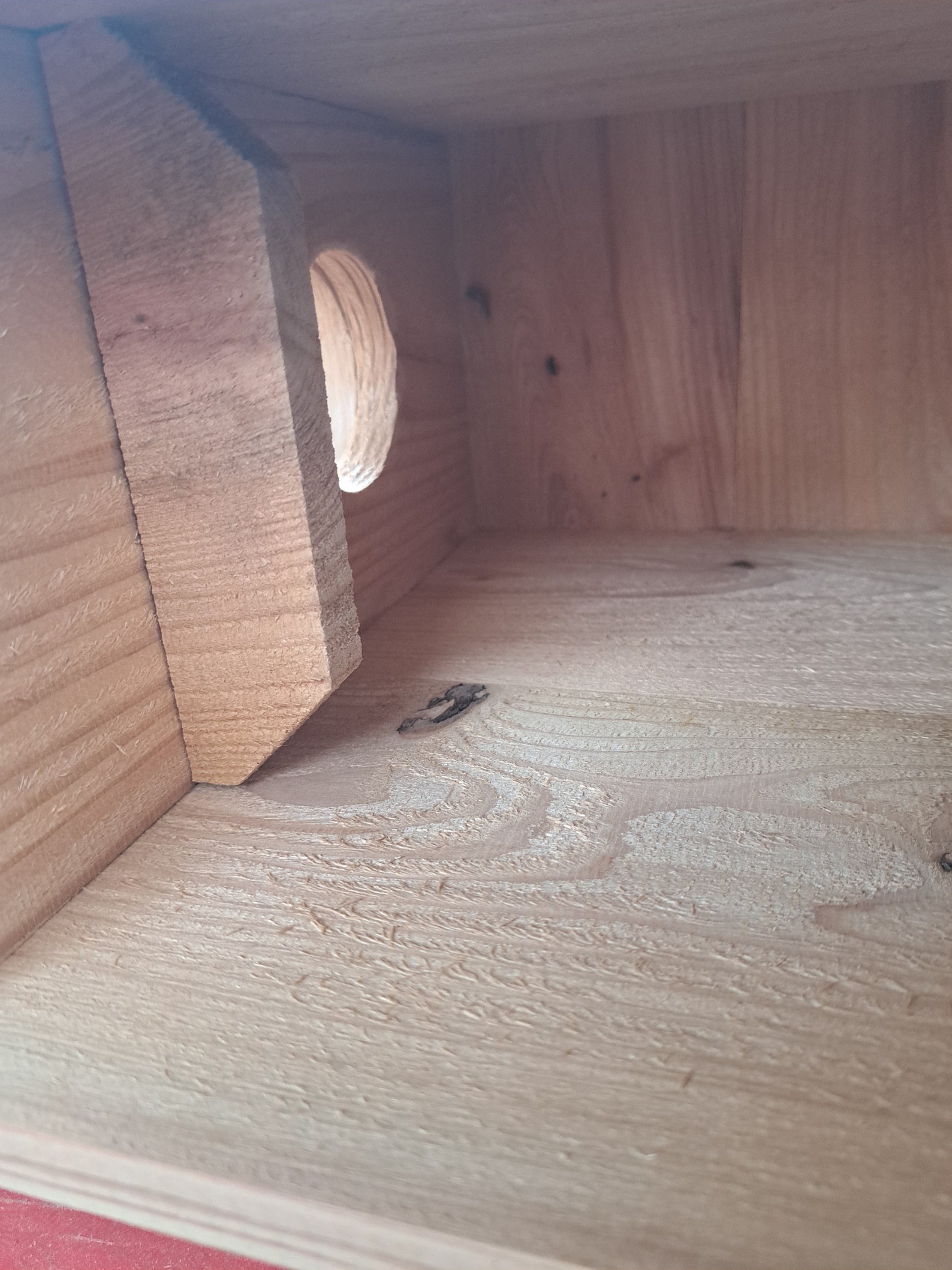 Extra Large Squirrel House, Squirrel House, Cedar Squirrel House ...