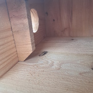Large Squirrel House, Squirrel House, Cedar Squirrel House, Squirrel ...