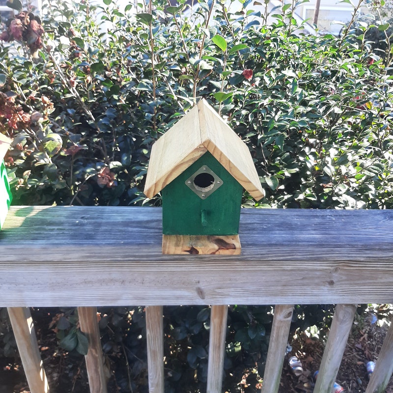 Bird House Predator Guard - Etsy