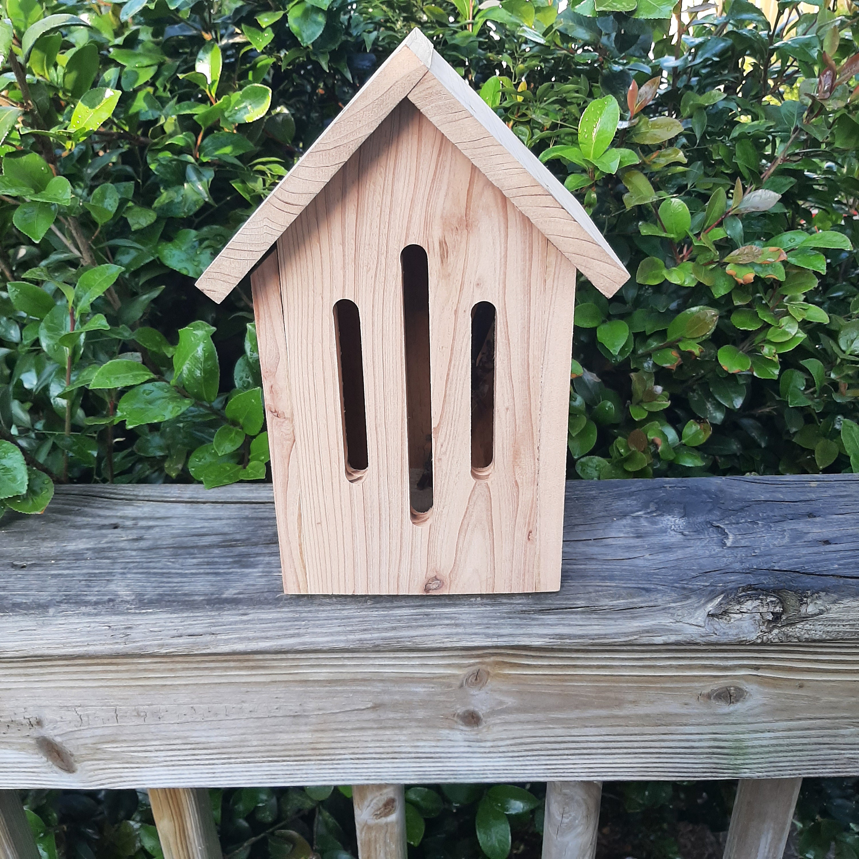 2-in-1 Butterfly House Solution4Patio Cedar Butterfly House & Flower ...