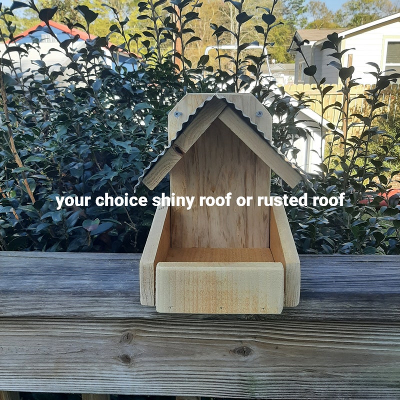 Robin Bird House - Etsy
