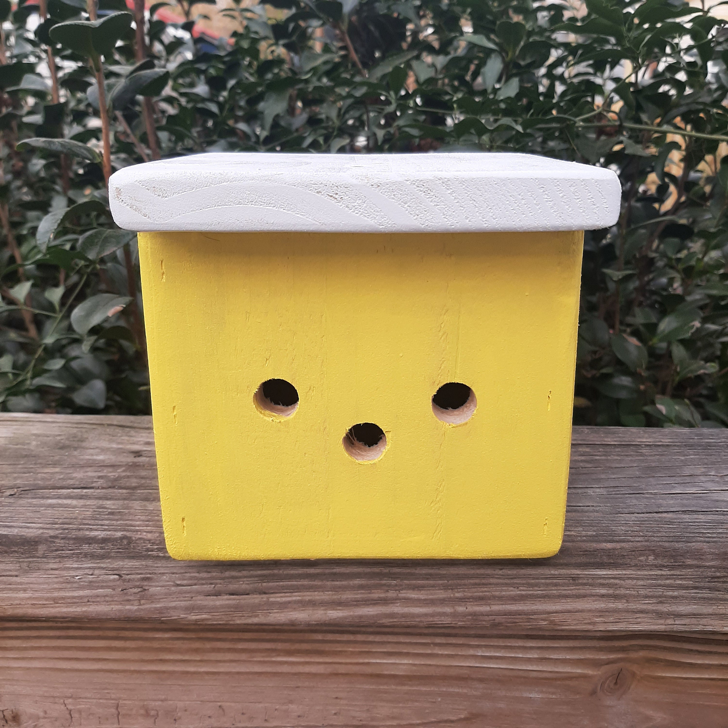 Yellow and White Ladybug House Ladybug House House for - Etsy