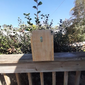 Nesting Box, Dove Nesting Box, Nesting Box for Doves, Cardinal Nesting ...