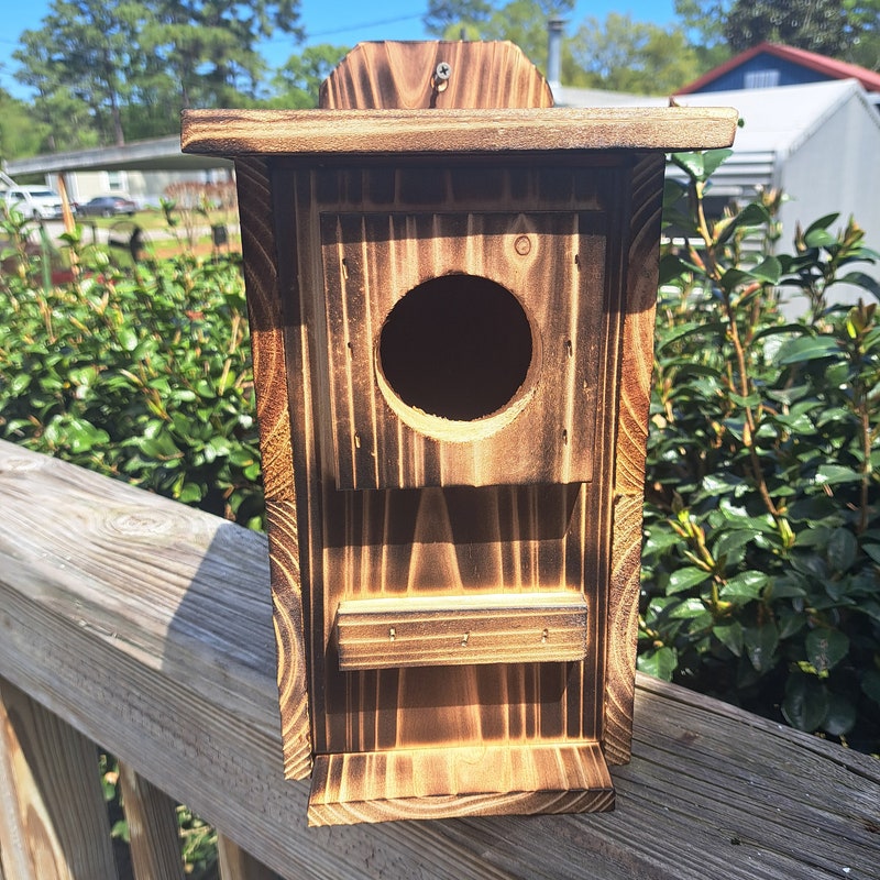 Squirrel House for Winter - Etsy