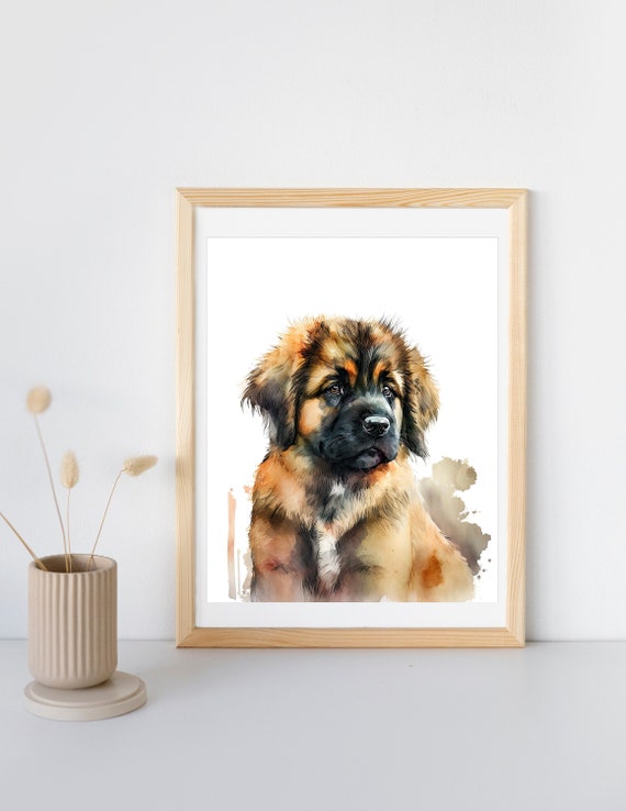 Leonberger Puppy