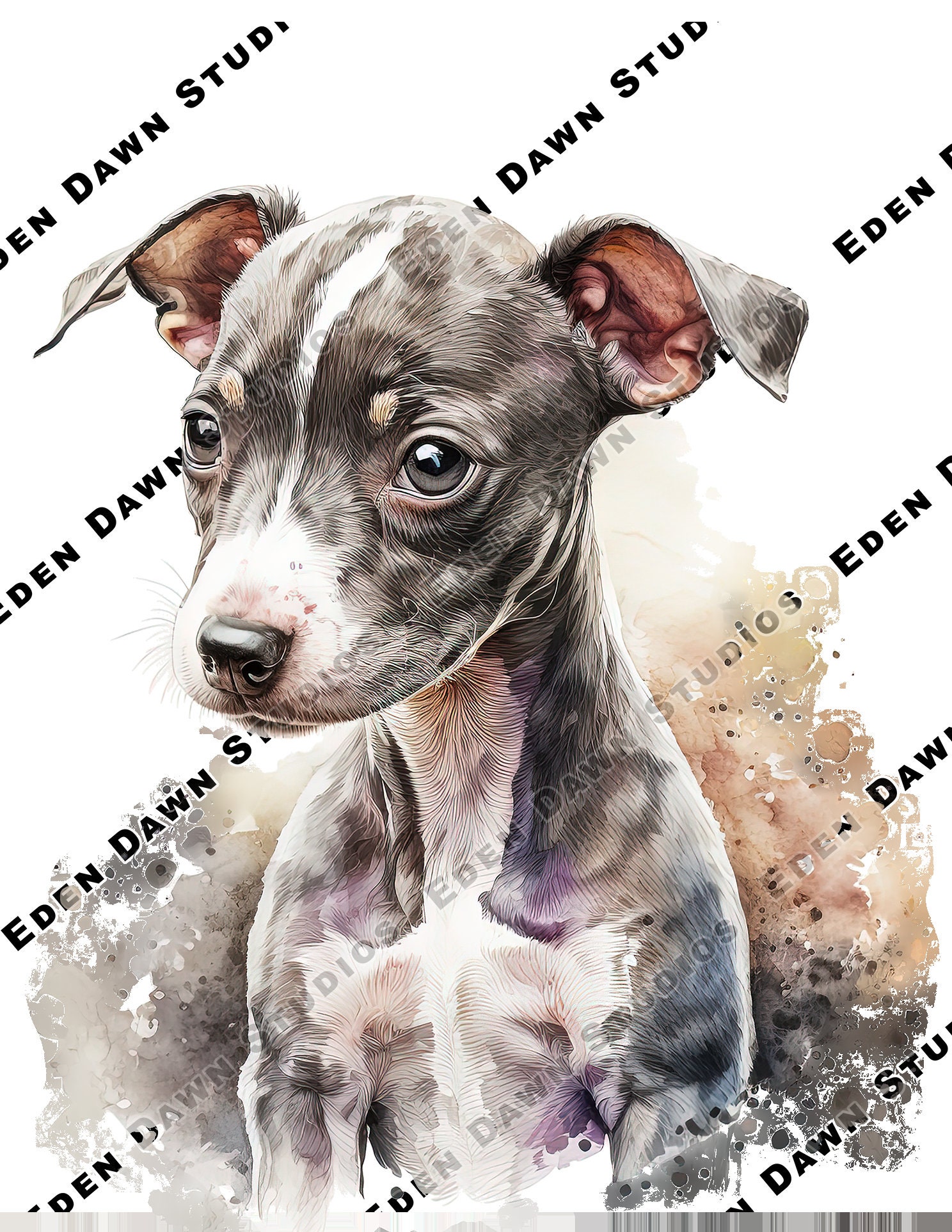 Italian Greyhound Transparent Background PNG | Greyhound Puppy Prints ...