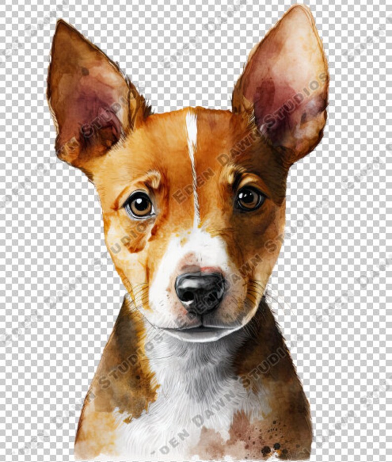 Basenji Transparent Background PNG Basenji Puppy Prints - Etsy