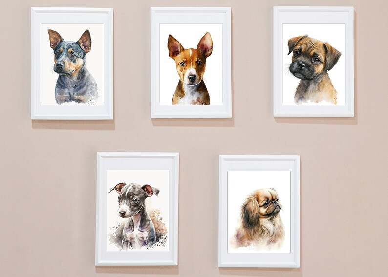 Italian Greyhound Transparent Background PNG | Greyhound Puppy Prints ...