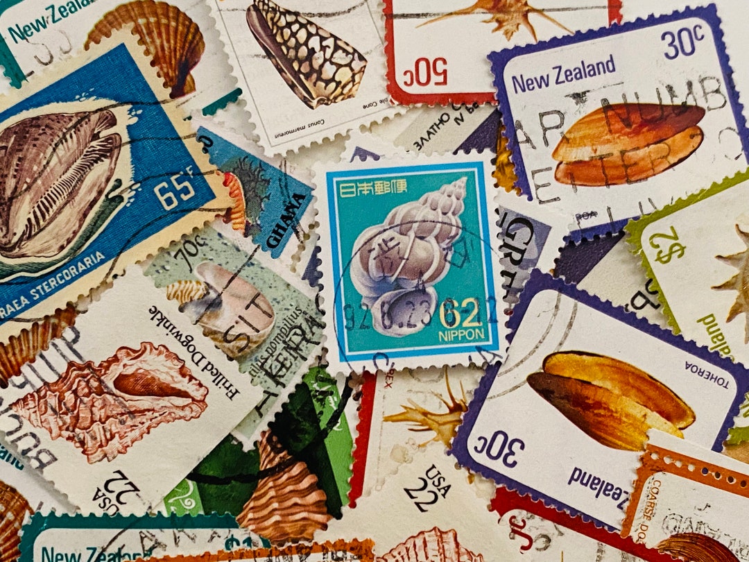 Seashells- Postage Stamp Packs - Etsy
