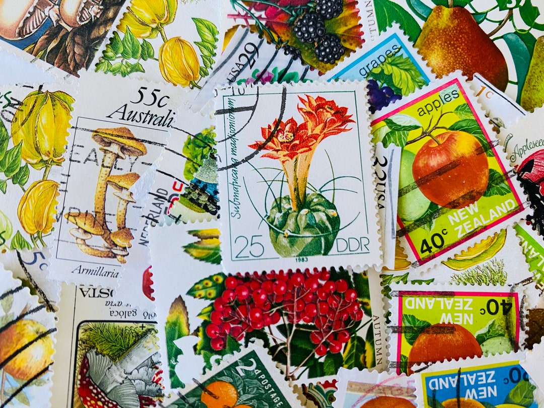 Food - Postage Stamp Packs - Etsy