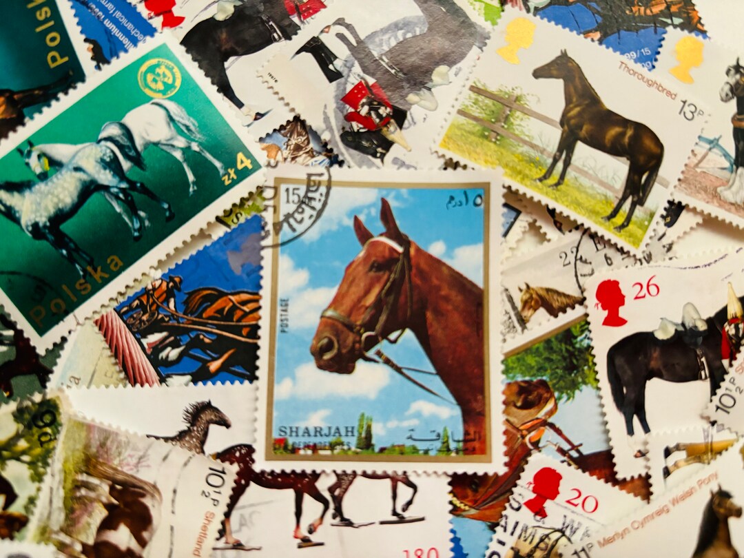 Horses - Postage Stamp Packs - Etsy