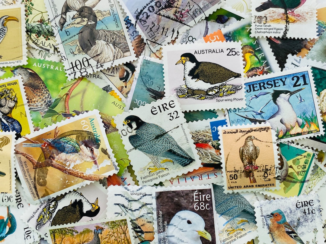 Birds - Postage Stamp Packs - Etsy