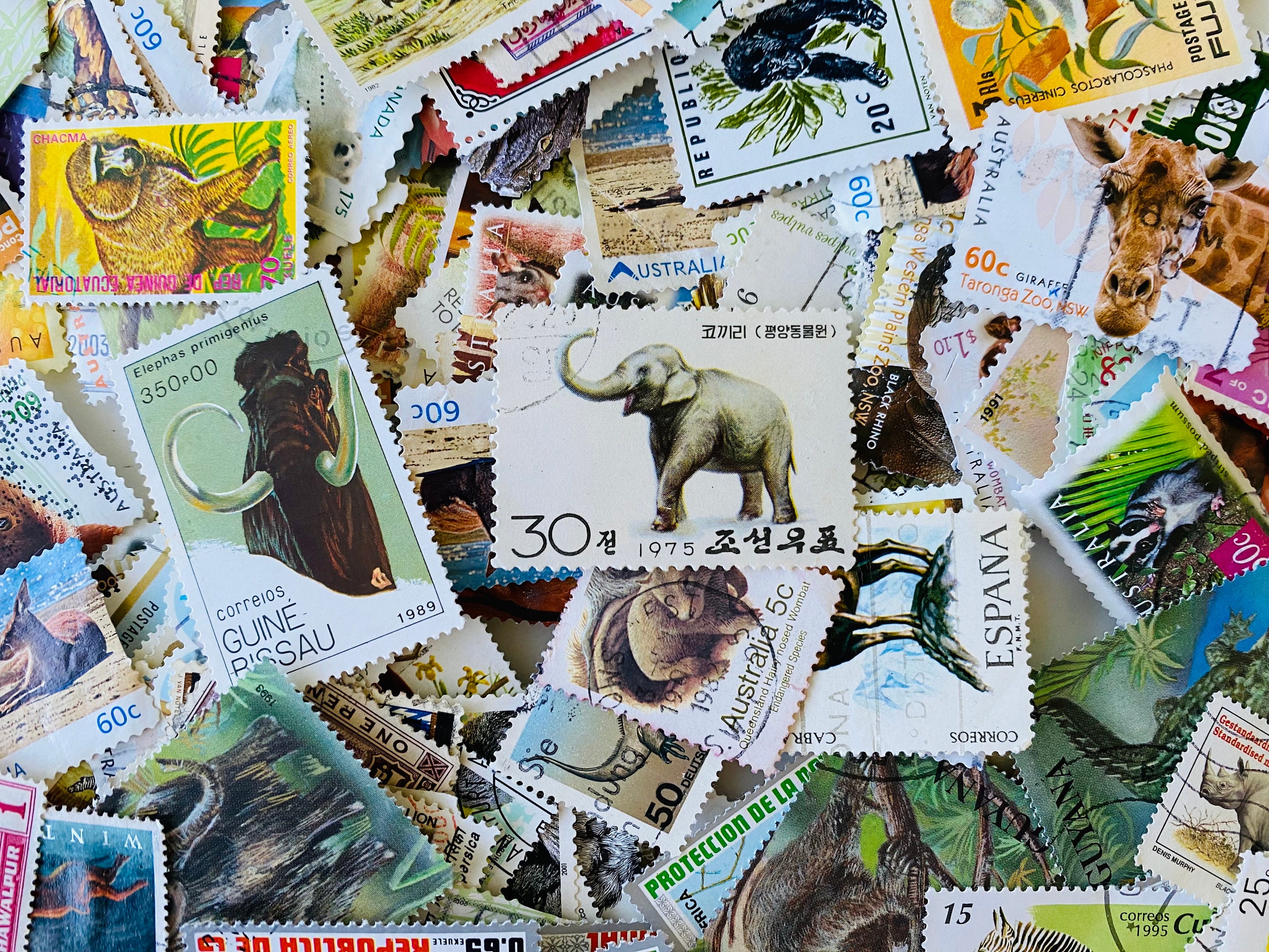 Animals - Postage Stamp Packs - Etsy