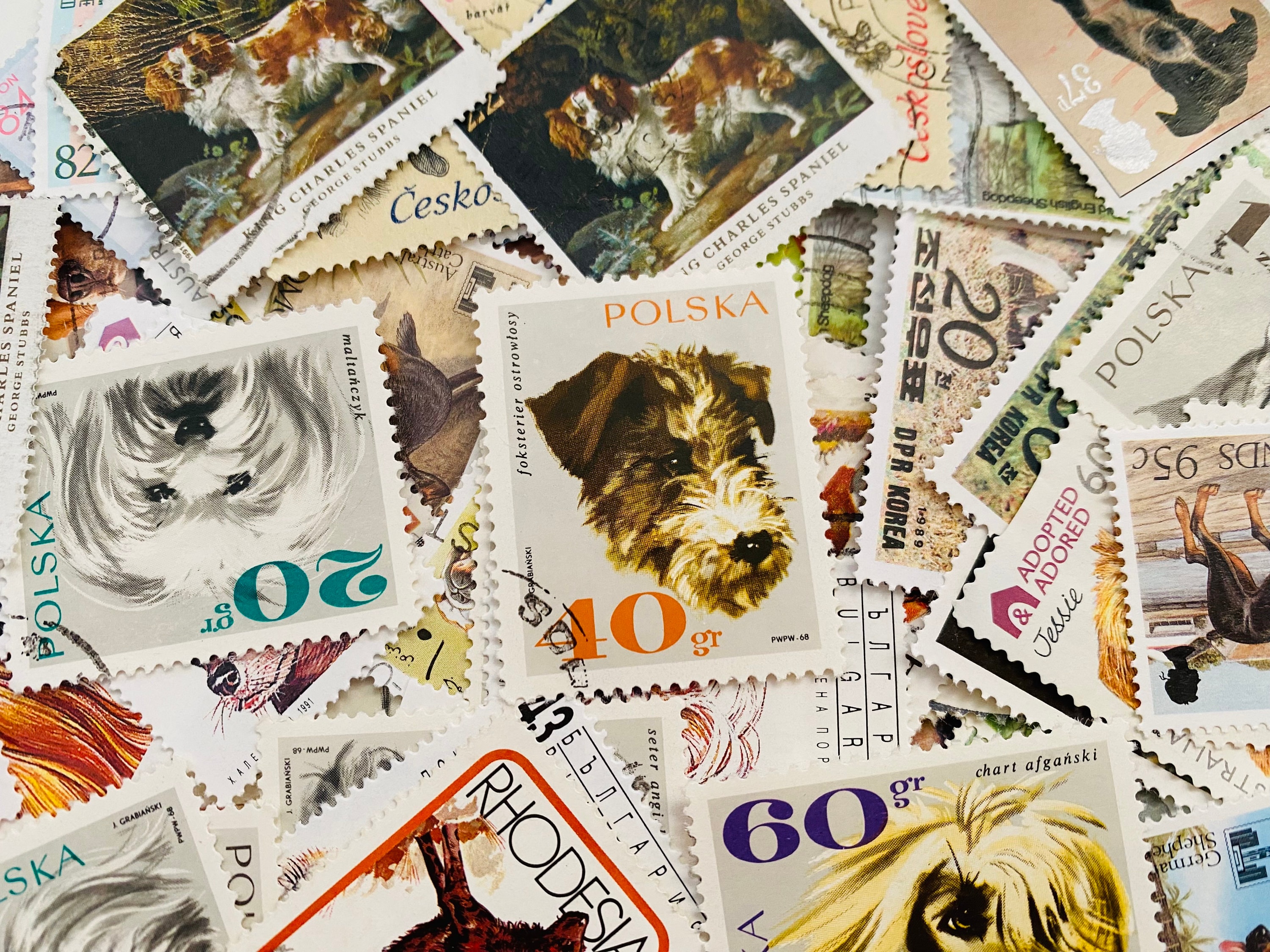 Dogs - Postage Stamp Packs - Etsy