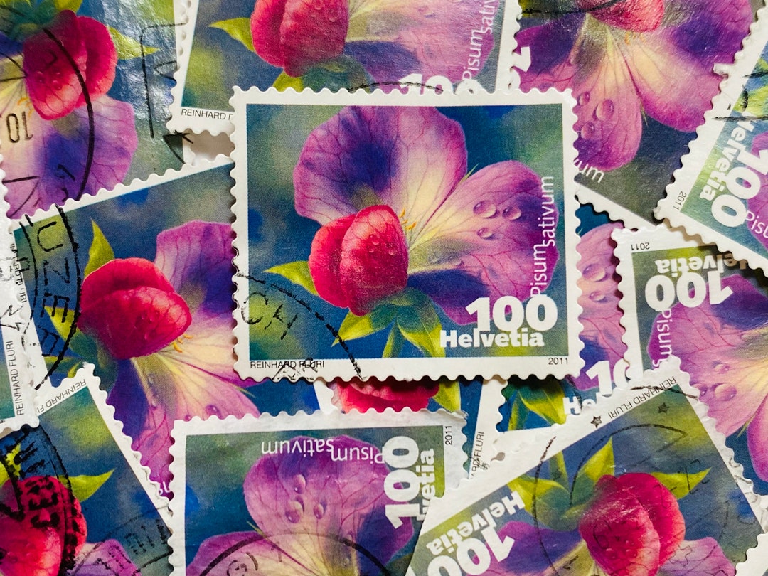 Switzerland Postage Stamps/snow Pea (pisum Sativum)/2011 - Etsy