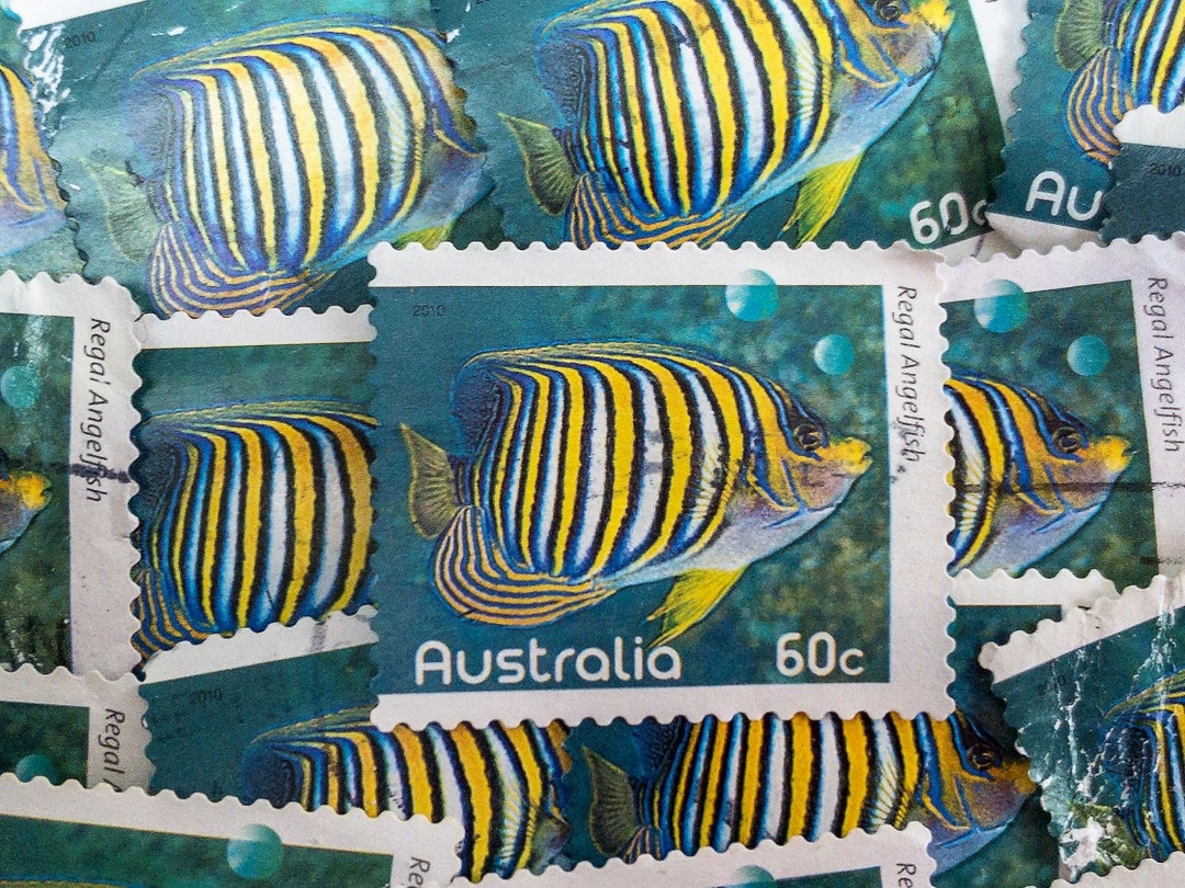 Australia Postage Stamps/fishes of the Reef/regal Angel Fish/2010 - Etsy