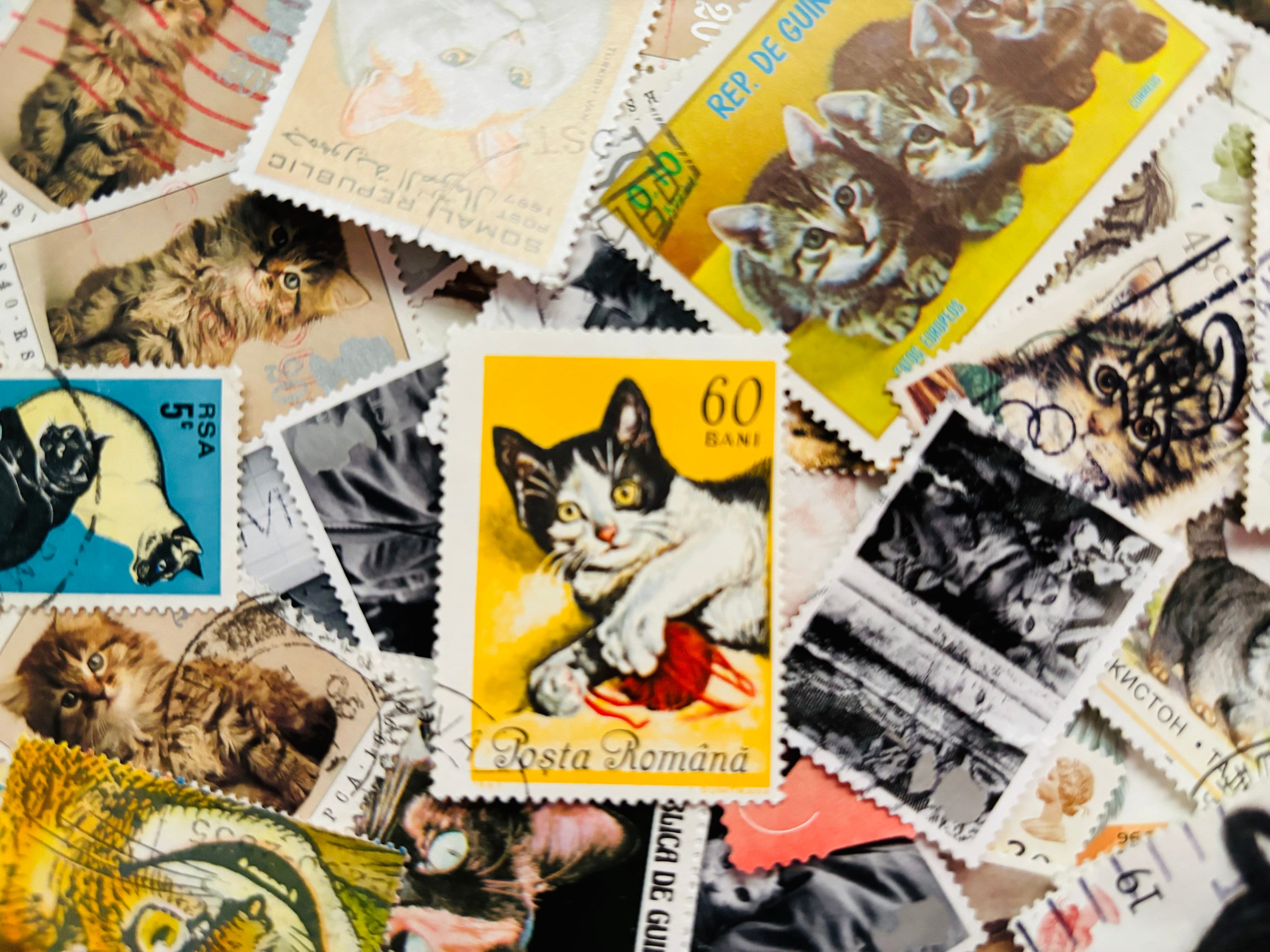 Cats - Postage Stamp Packs - Etsy