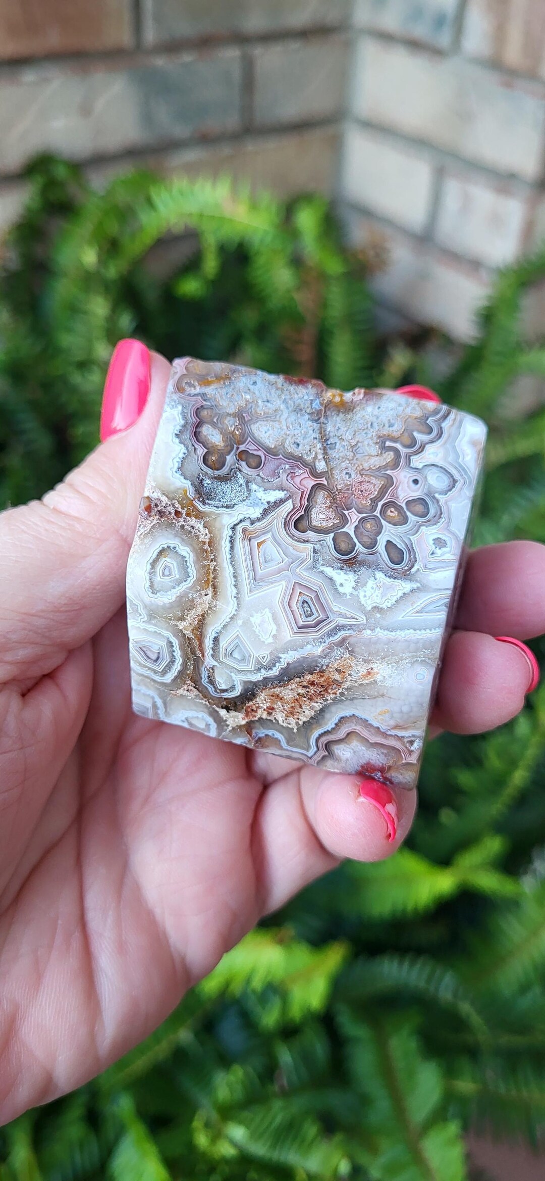 Crazy Lace Mexican Agate Mexico Agate Freeform BEAUTIFUL Piece - Etsy