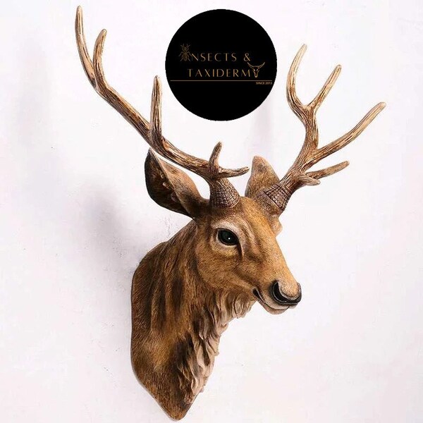 Fake Deer Head - Etsy