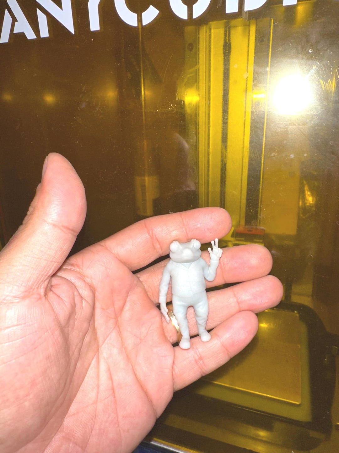 Concho Frog, Bad Bunny Frog, Concho, Concho Dtmf, 3D Print, 3D Printed ...