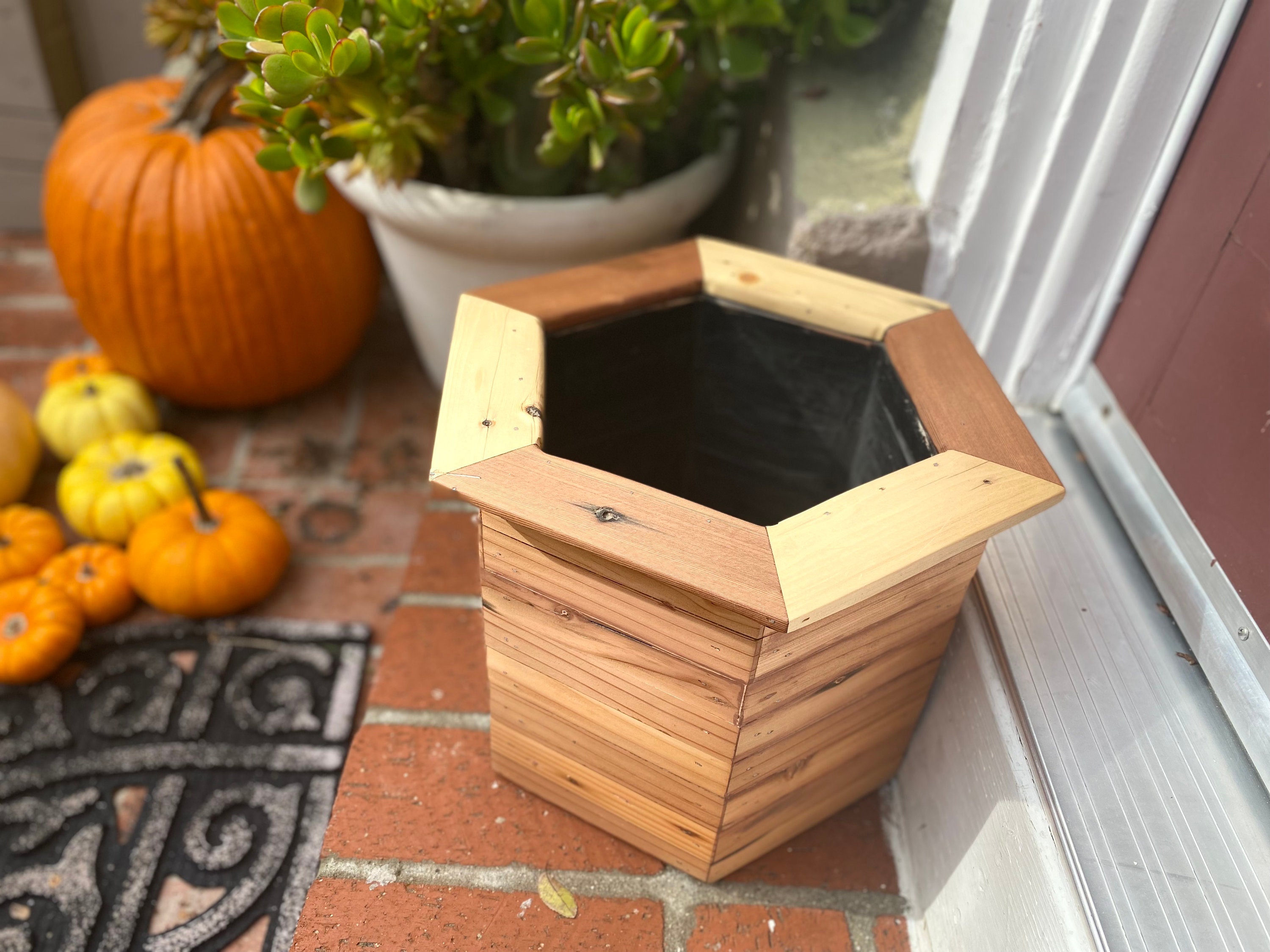 Clear Redwood & Pine Planter - Etsy