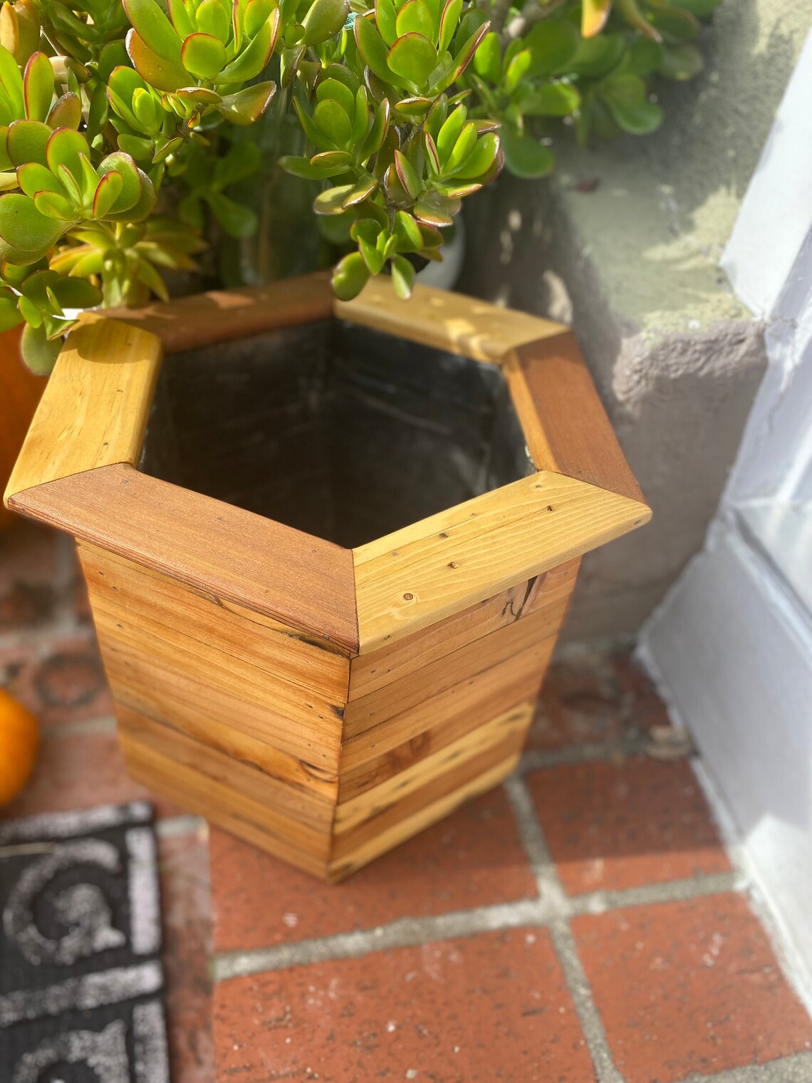 Clear Redwood & Pine Planter - Etsy