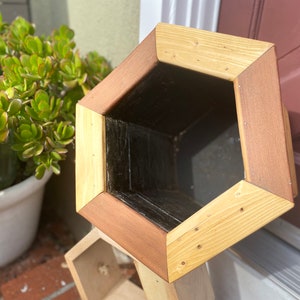 Clear Redwood & Pine Planter - Etsy