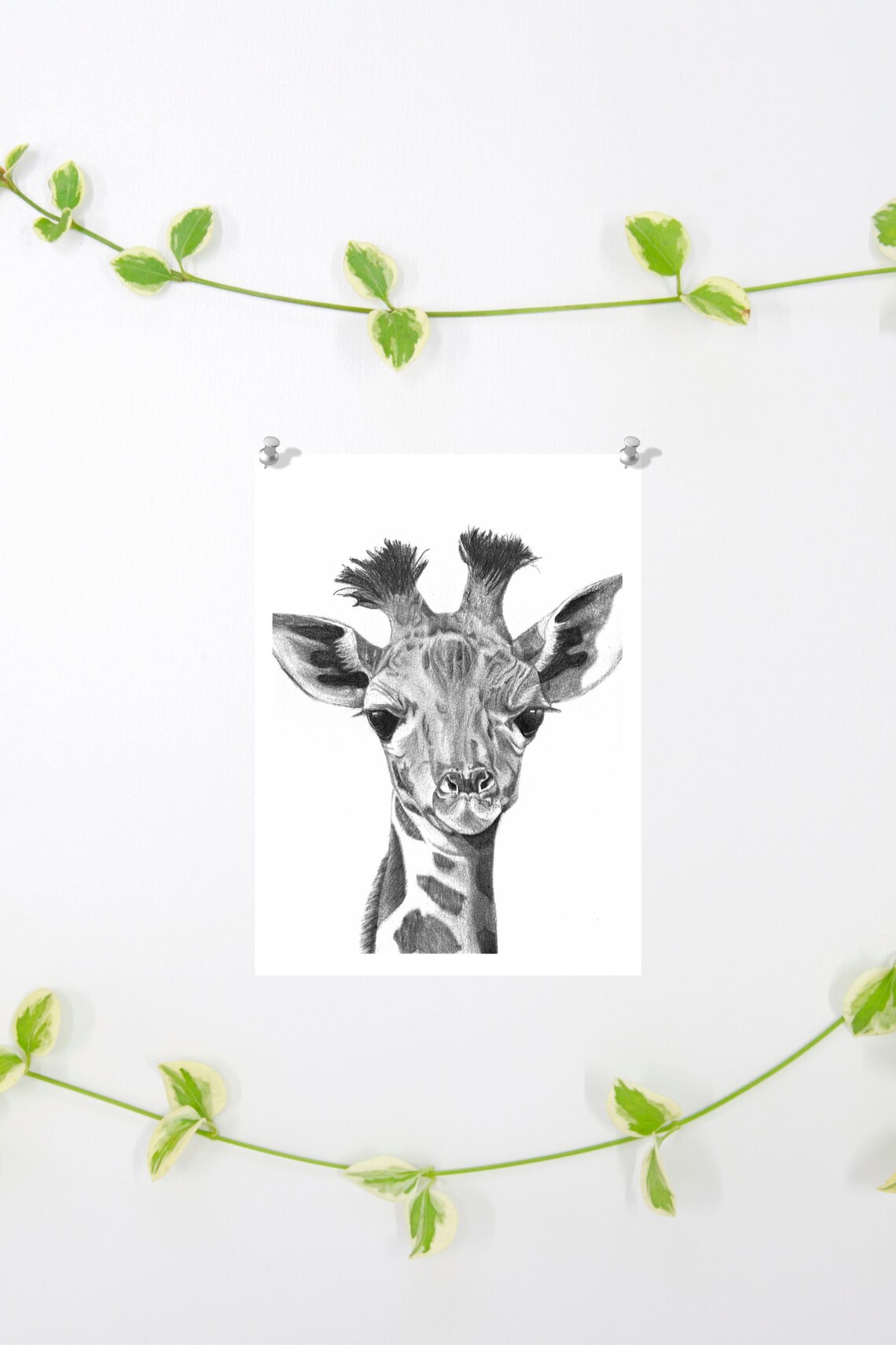Baby Giraffe Sketch, Giraffe Drawing, Animal Illustration, Nursery Art ...