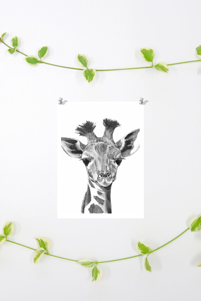 Baby Giraffe Sketch, Giraffe Drawing, Animal Illustration, Nursery Art ...
