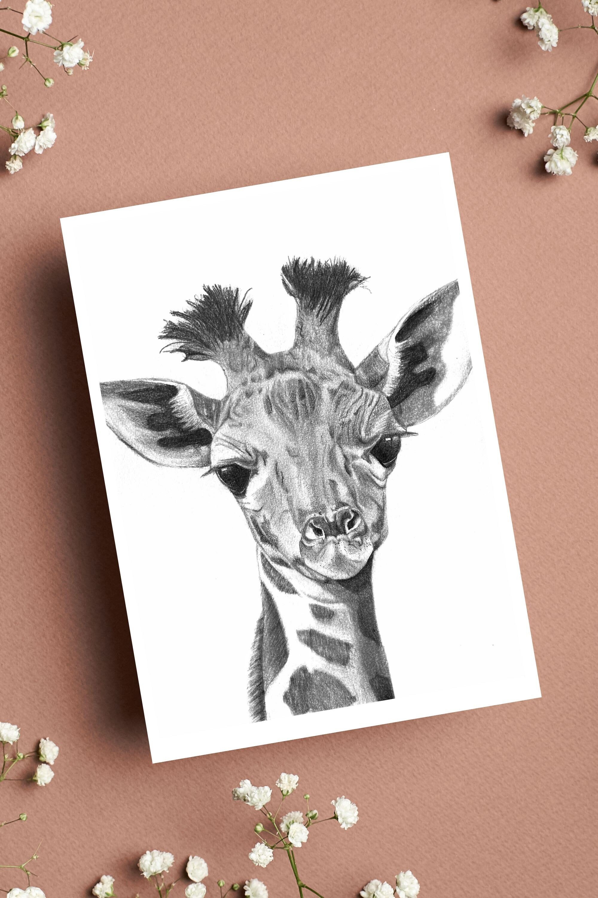 Baby Giraffe Sketch, Giraffe Drawing, Animal Illustration, Nursery Art ...