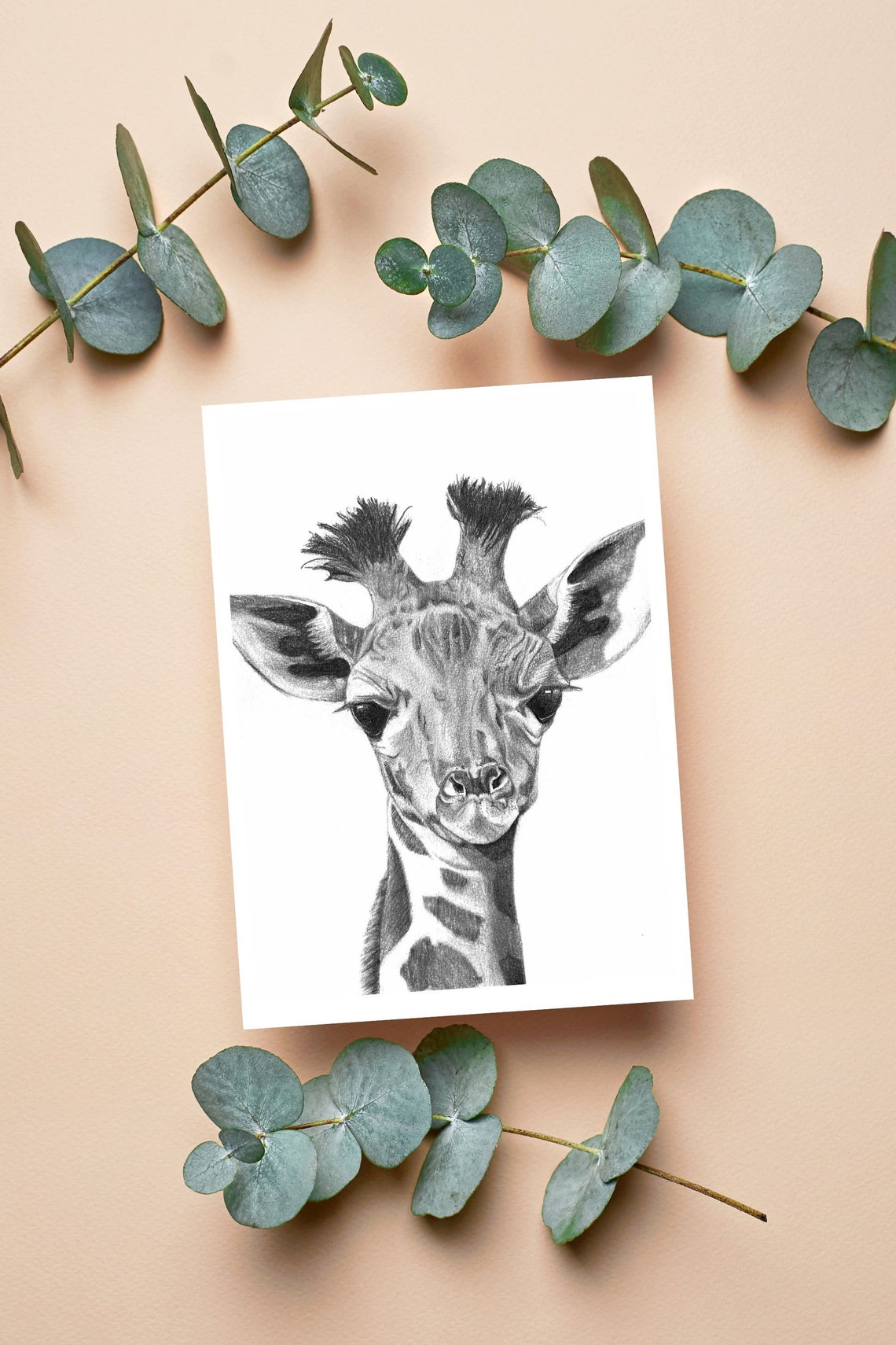 Baby Giraffe Sketch, Giraffe Drawing, Animal Illustration, Nursery Art ...