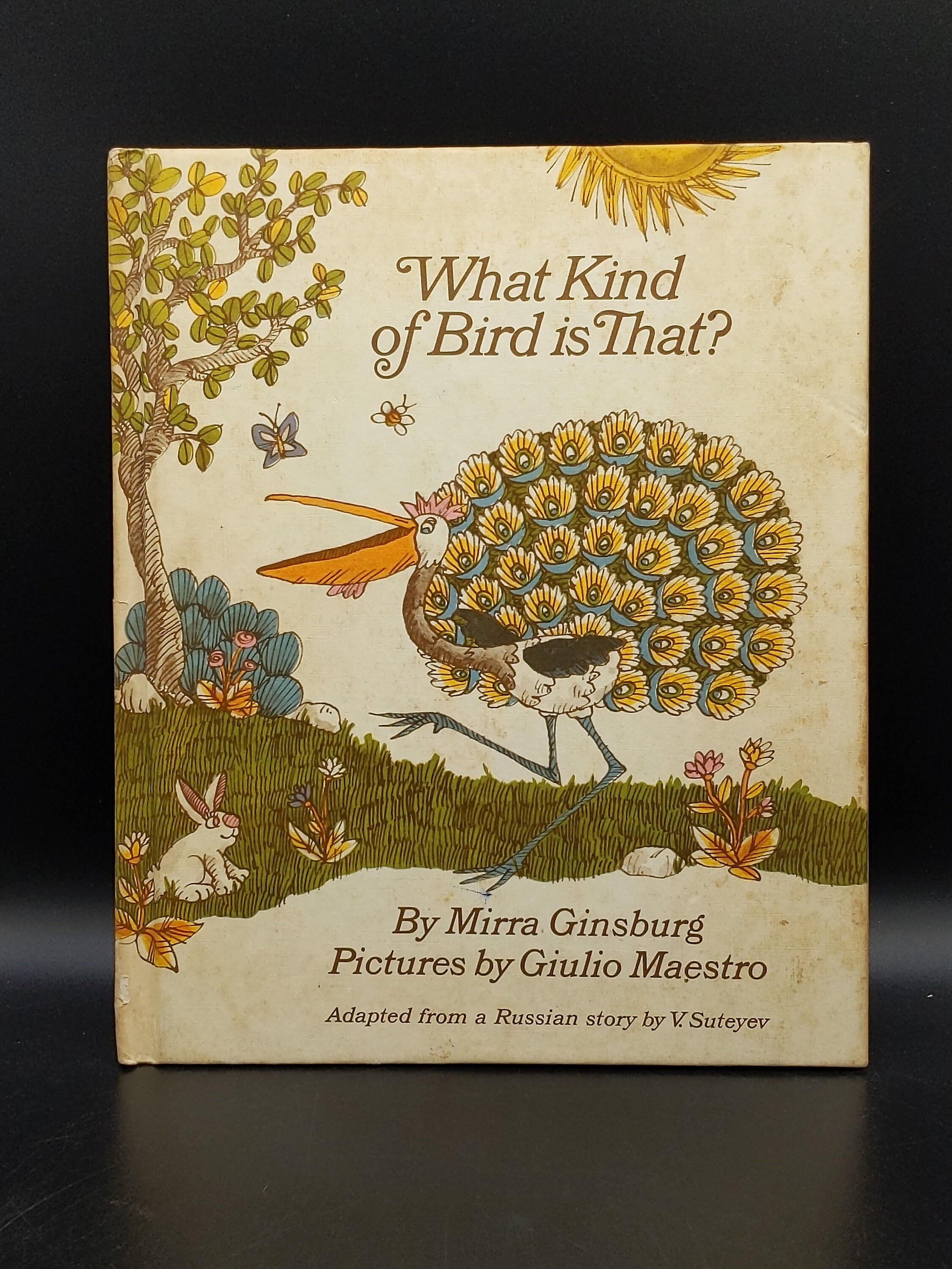 What Kind of Bird is That hardcover, 1973 by Mirra Ginsburg - Etsy