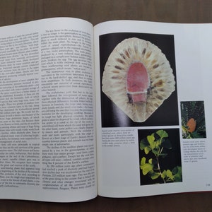 THREAD OF LIFE by Roger Lewin the Smithsonian Looks at Evolution 1989 ...