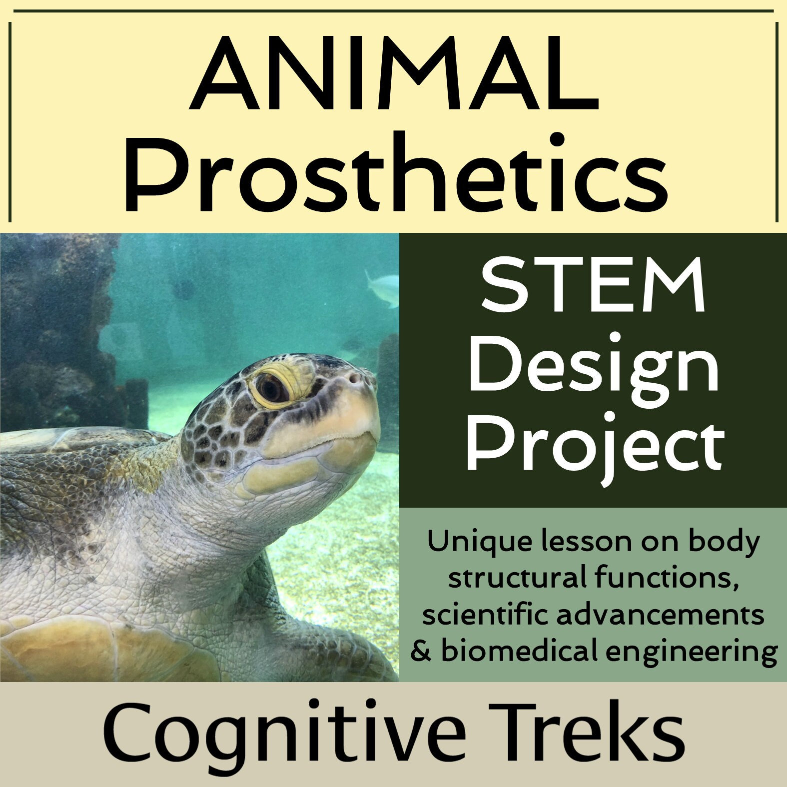 STEM Ecology Project | Design an Animal Prosthetic | Science ...
