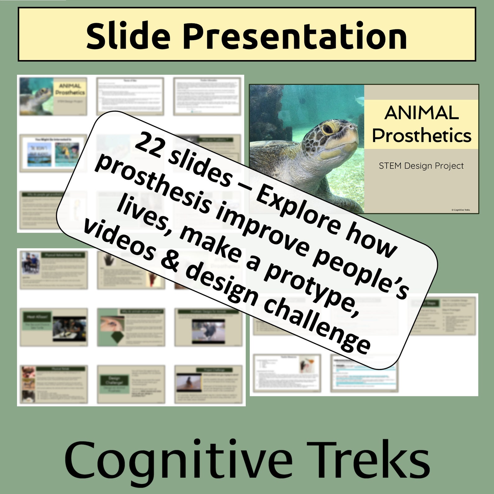 STEM Ecology Project | Design an Animal Prosthetic | Science ...