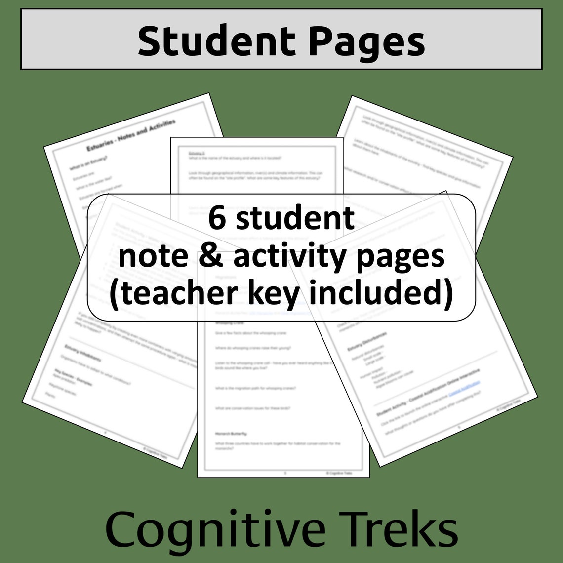 Wetland and Estuary Ecosystems | Ecology and Human Impact | Lesson ...