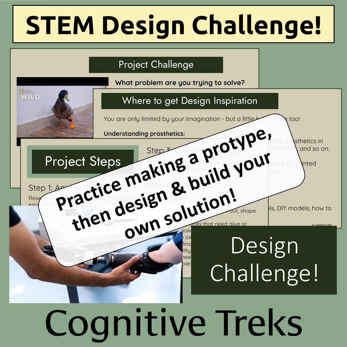 STEM Ecology Project | Design an Animal Prosthetic | Science ...