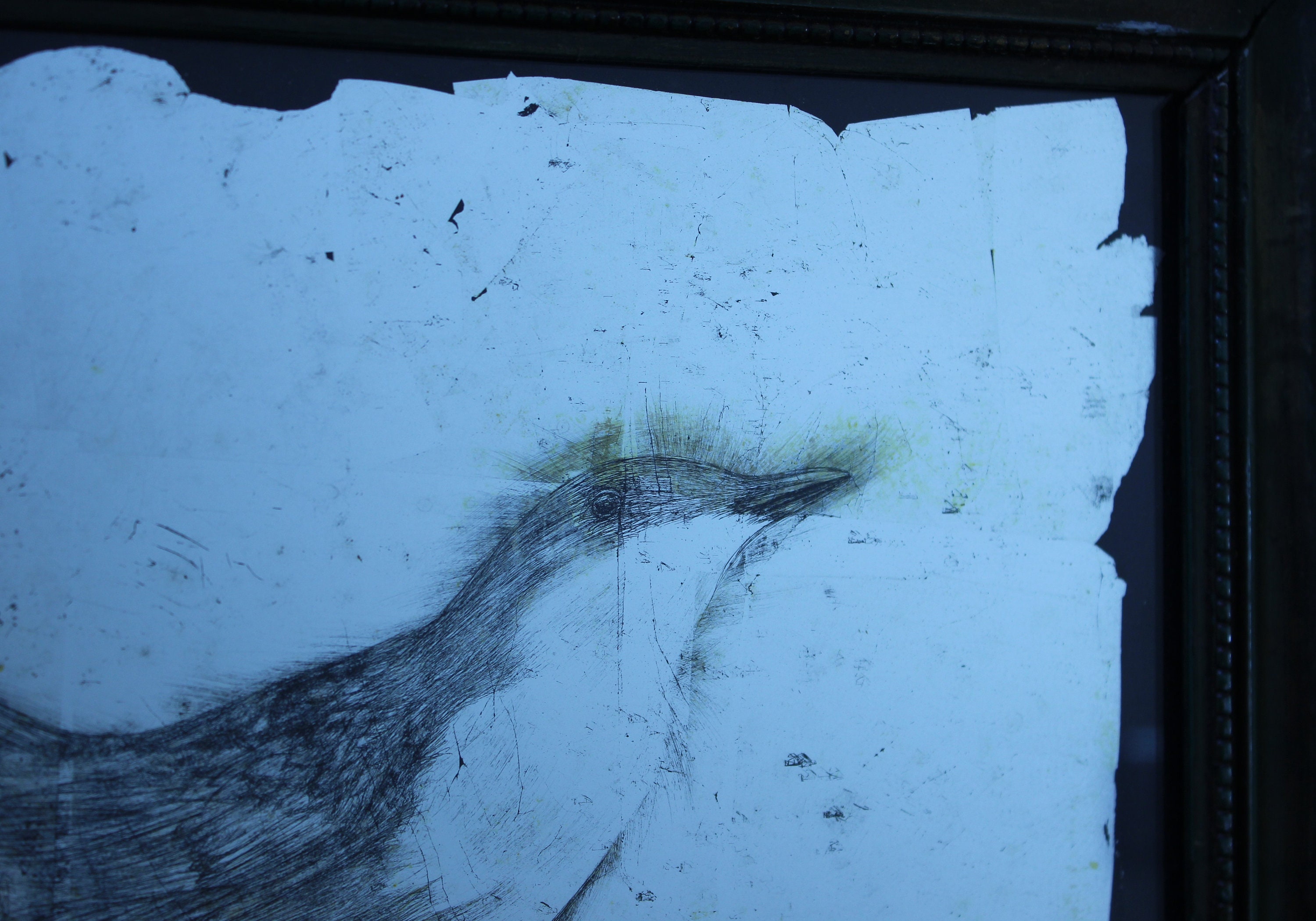 Thames Dipper, Drawing, Etching, Picture, Wall Art, Framed, Silver Leaf ...