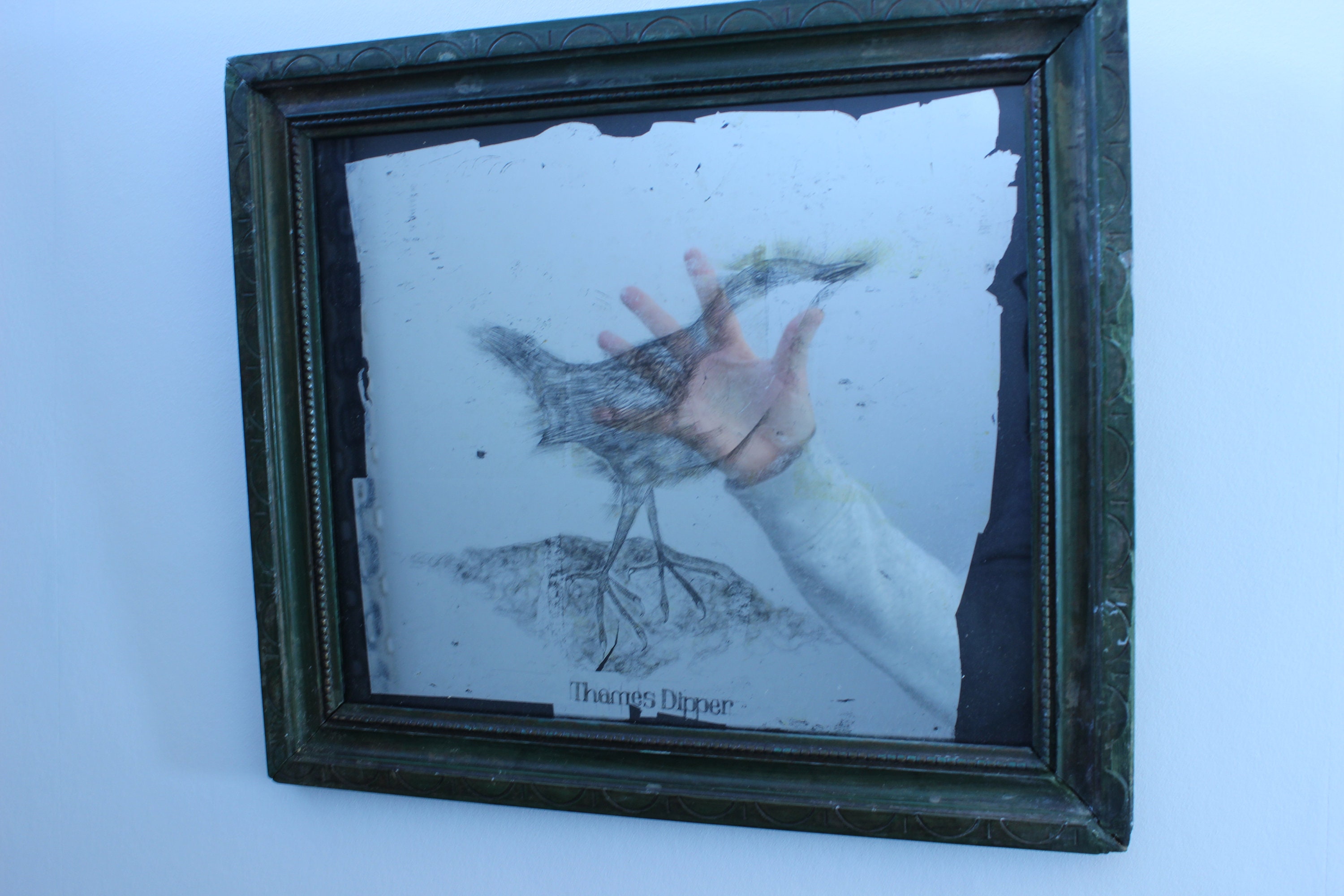 Thames Dipper, Drawing, Etching, Picture, Wall Art, Framed, Silver Leaf ...