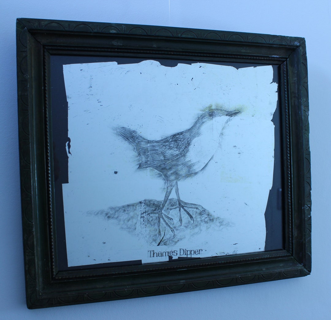 Thames Dipper, Drawing, Etching, Picture, Wall Art, Framed, Silver Leaf ...