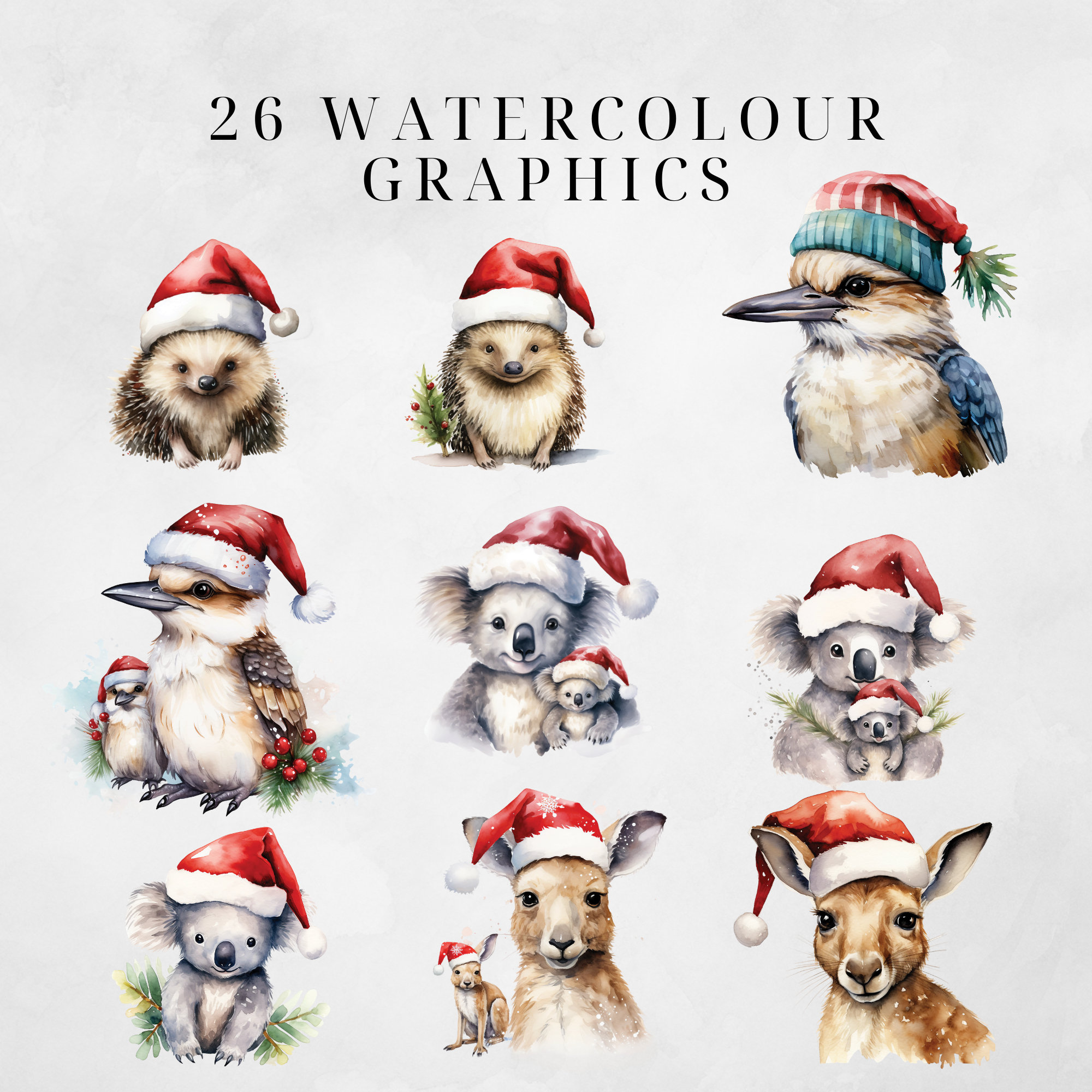 Watercolour Australian Christmas Wild Animal PNG, Cute Animal Clipart ...