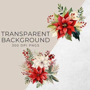 Christmas Poinsettia Flowers Clipart Bundle, Watercolour Flower ...