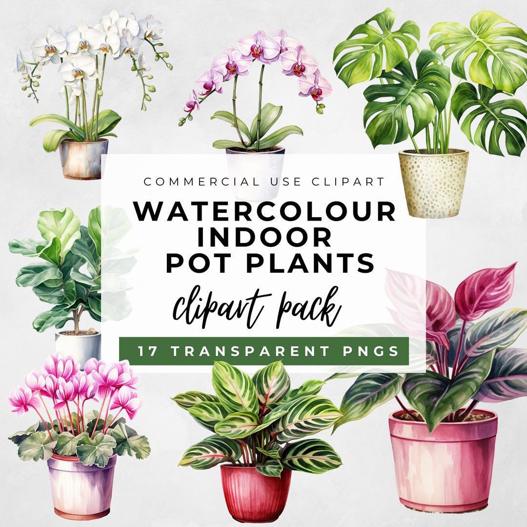 17 Indoor Plants Clipart, Watercolour House Plant Png, Commercial Use ...