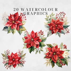 Christmas Poinsettia Flowers Clipart Bundle, Watercolour Flower ...